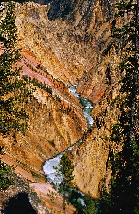 USA 80 Yellowstone, das Yellowstonetal im Tuff